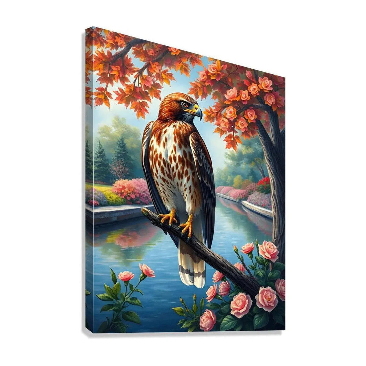 Stunning Red Tailed Hawk Art Print - Chickenhawk 34227 – Visual Wall Art